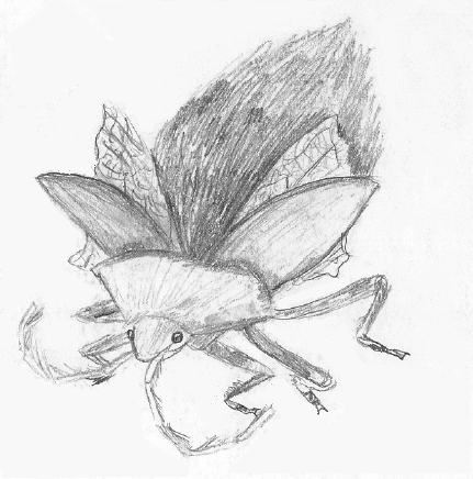 Glumbumble (GrincheBourdon) - Harry-Potter-Les-animaux-fantastiques ...