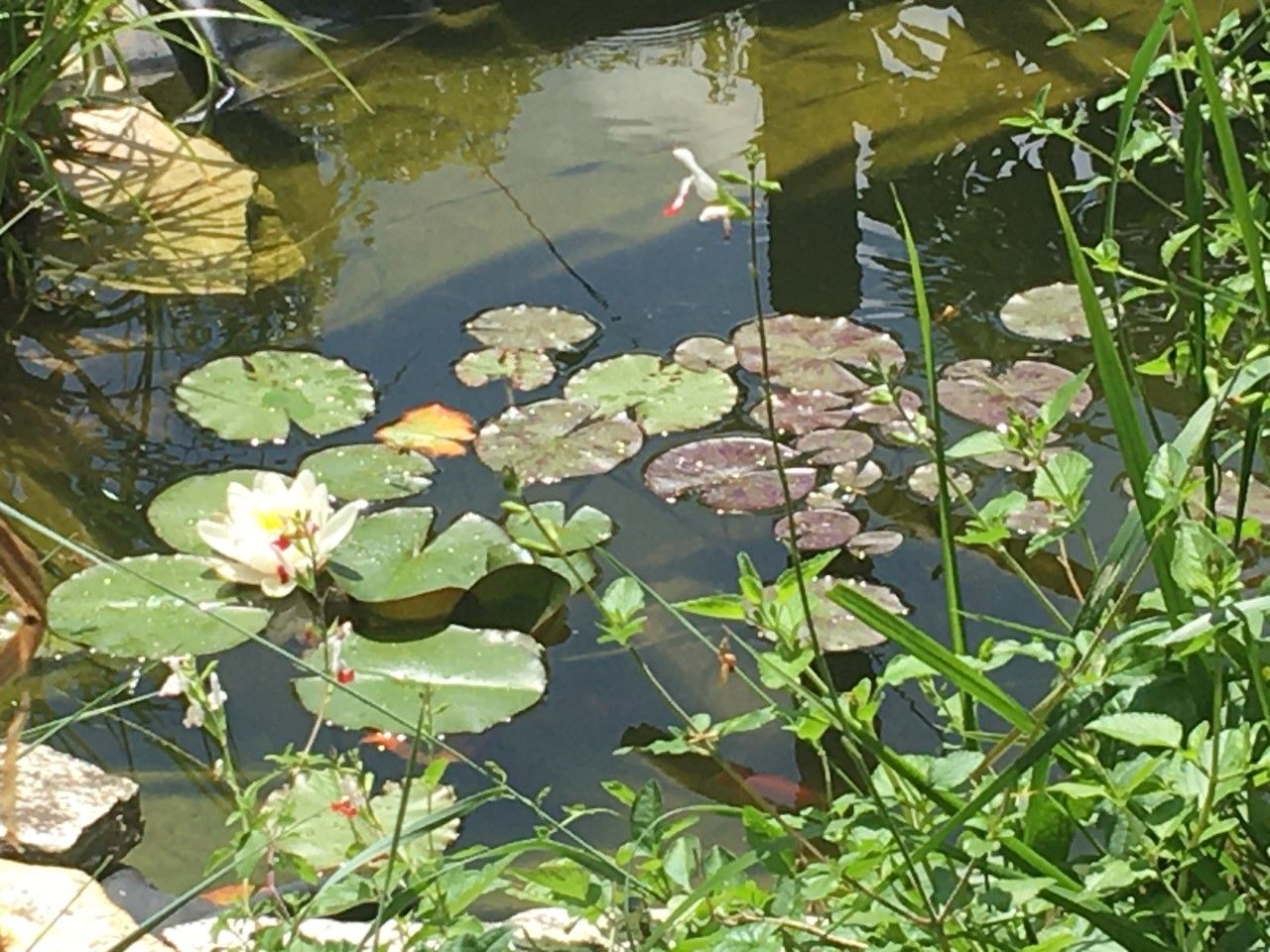 HISTOIRE DU VIEUX SAGE ET DU MARCHAND - Le blog de maïté-infos