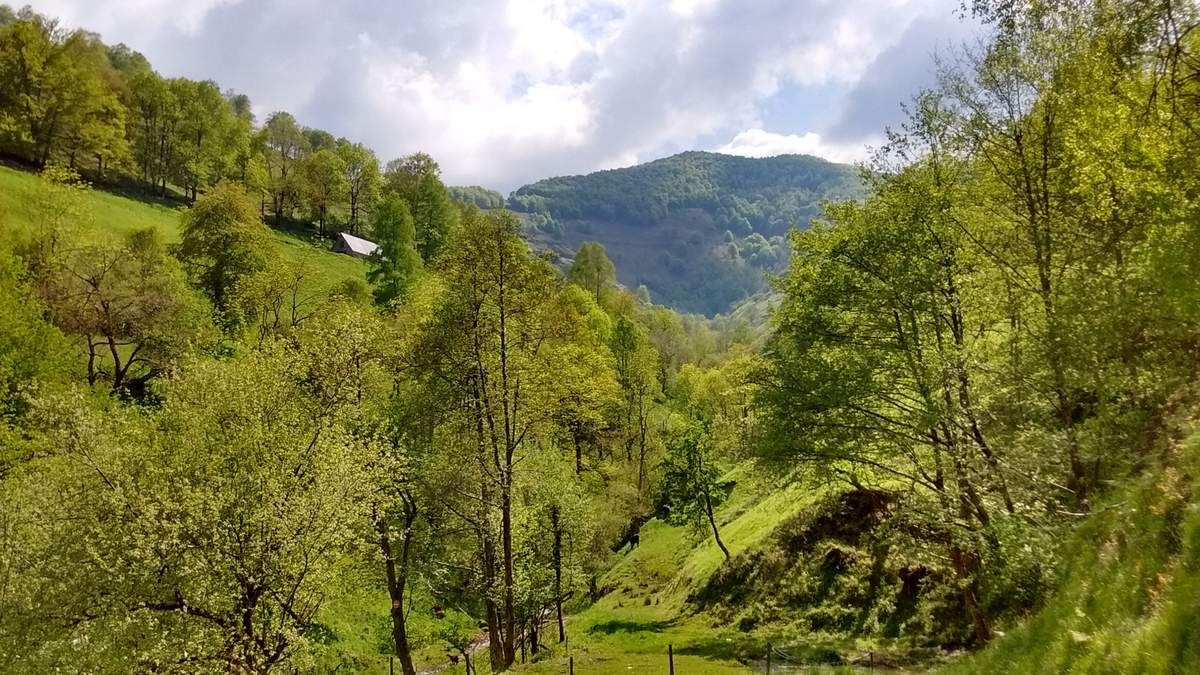 Vallon enchanté - Une maison en montagne