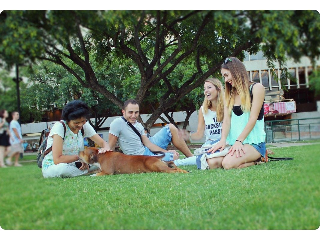 "Where is Miranda ?" - Nos aventures en Australie