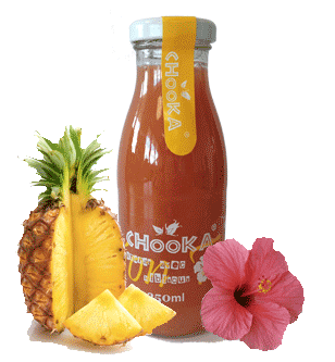 Zoom sur Chooka - Le Journal de bord du Triathlon