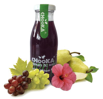 Zoom sur Chooka - Le Journal de bord du Triathlon