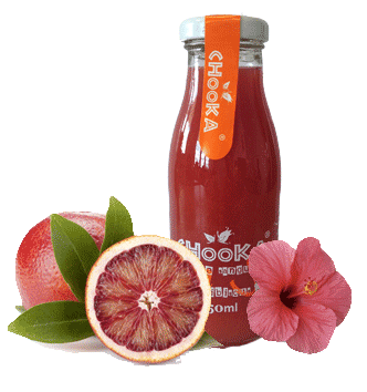 Zoom sur Chooka - Le Journal de bord du Triathlon