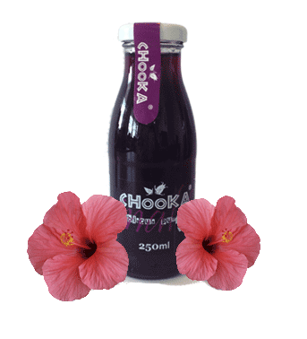 Zoom sur Chooka - Le Journal de bord du Triathlon