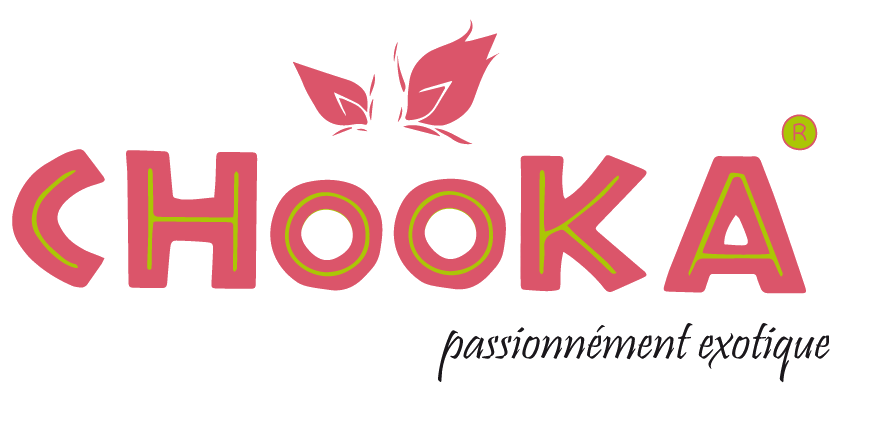 Zoom sur Chooka - Le Journal de bord du Triathlon