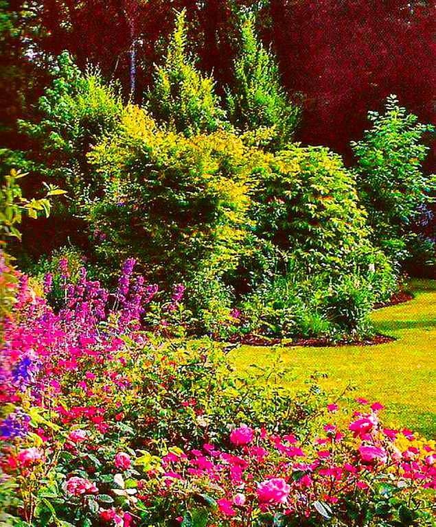 Gifs - tubes - images - jardin/parc - Balades comtoises