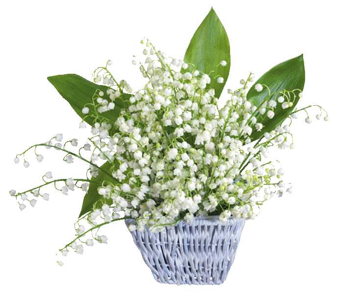 Tubes gifs muguet - premier mai - Balades comtoises