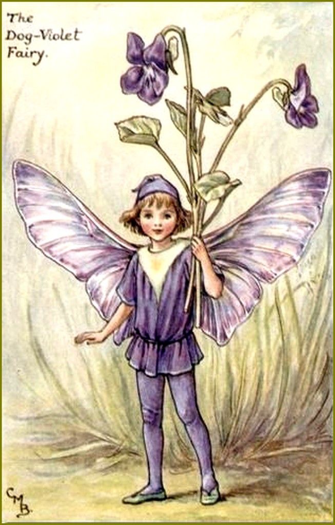 Mythologie des fleurs - la violette - Balades comtoises