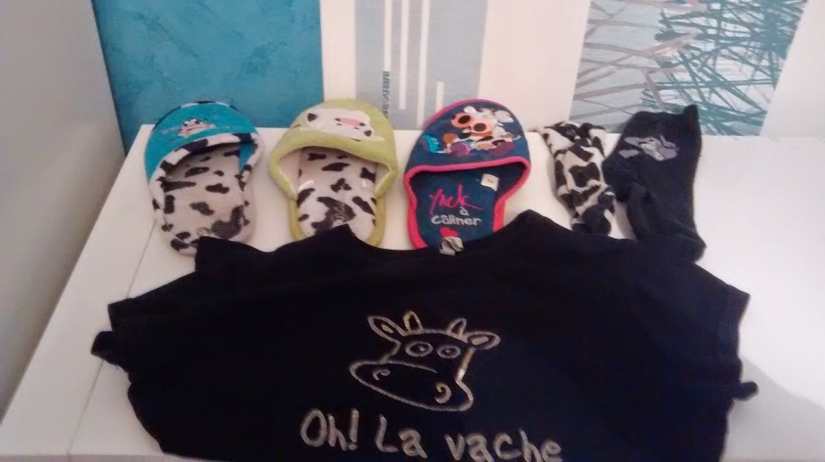 Ma collection de vaches - Six à la maison