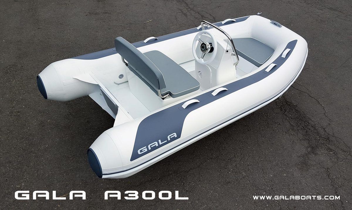 ALERTES VOLS DE BATEAUX l'annexe GALA 300L SELVA 6CV du bateau CORE ...