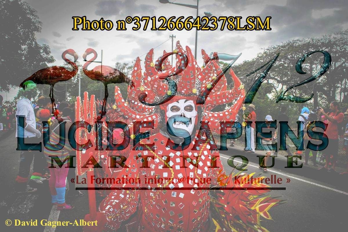 🎭 Les papa djab ou diables rouges du carnaval de la Martinique ? Qu'est ...