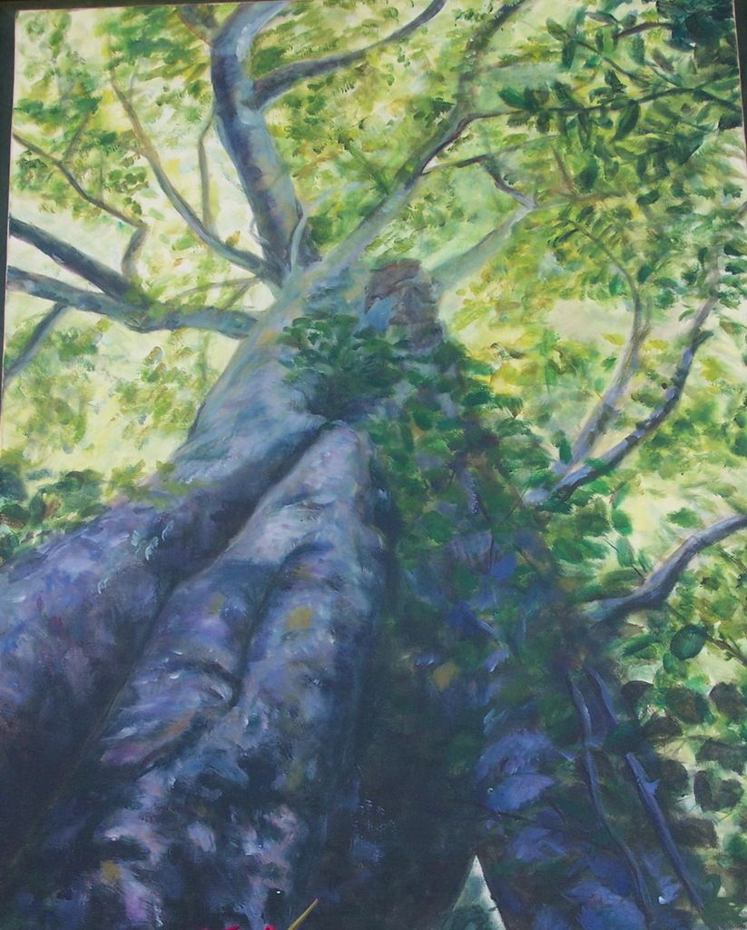 Album - Mes inspirations végétales - Les conseils de jardin de Vavou