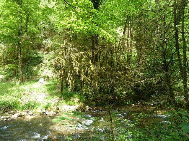 MGM - Cascade verte et cascade blanche depuis Pont-en-Royans - VOYAGES ...