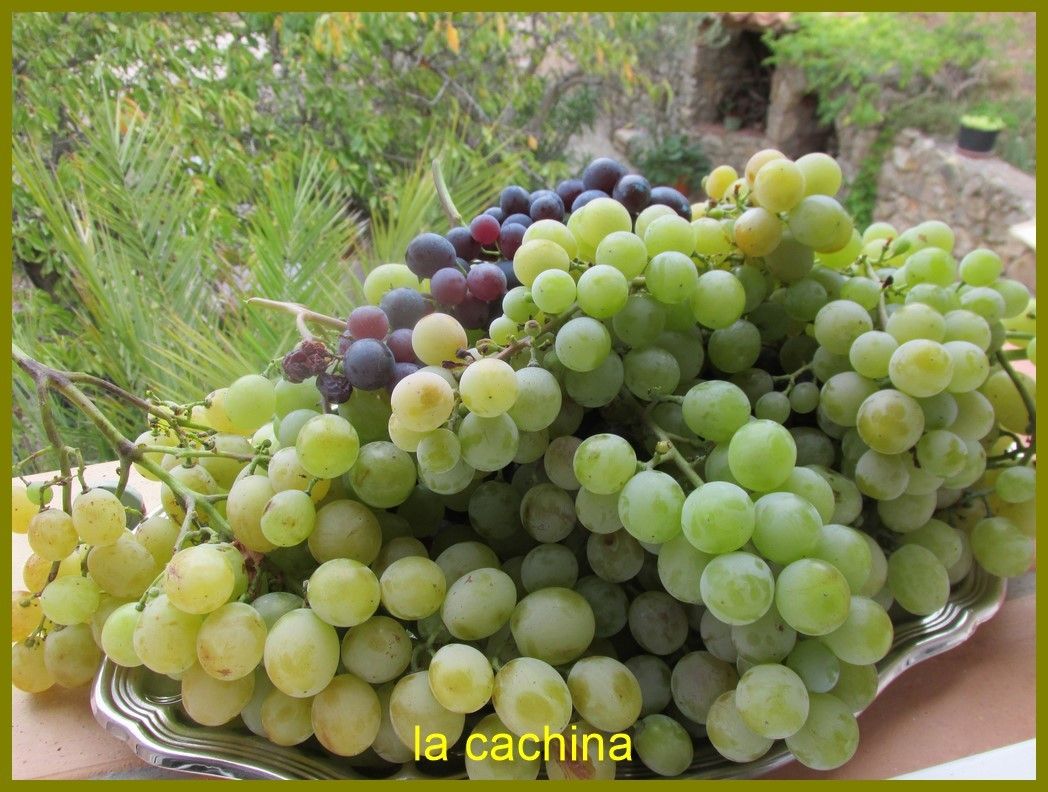 Le Raisiné Composé (selon Reboul) - La Cachina