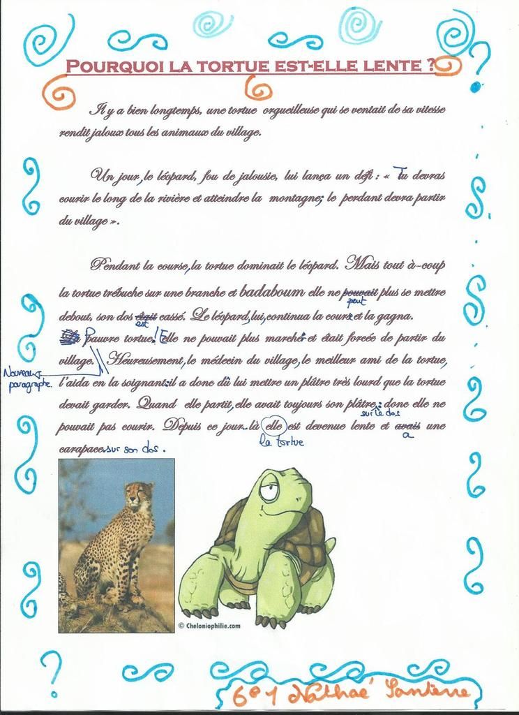 Pourquoi les moutons ont-ils le pelage frisé ? - Les divertissements du ...