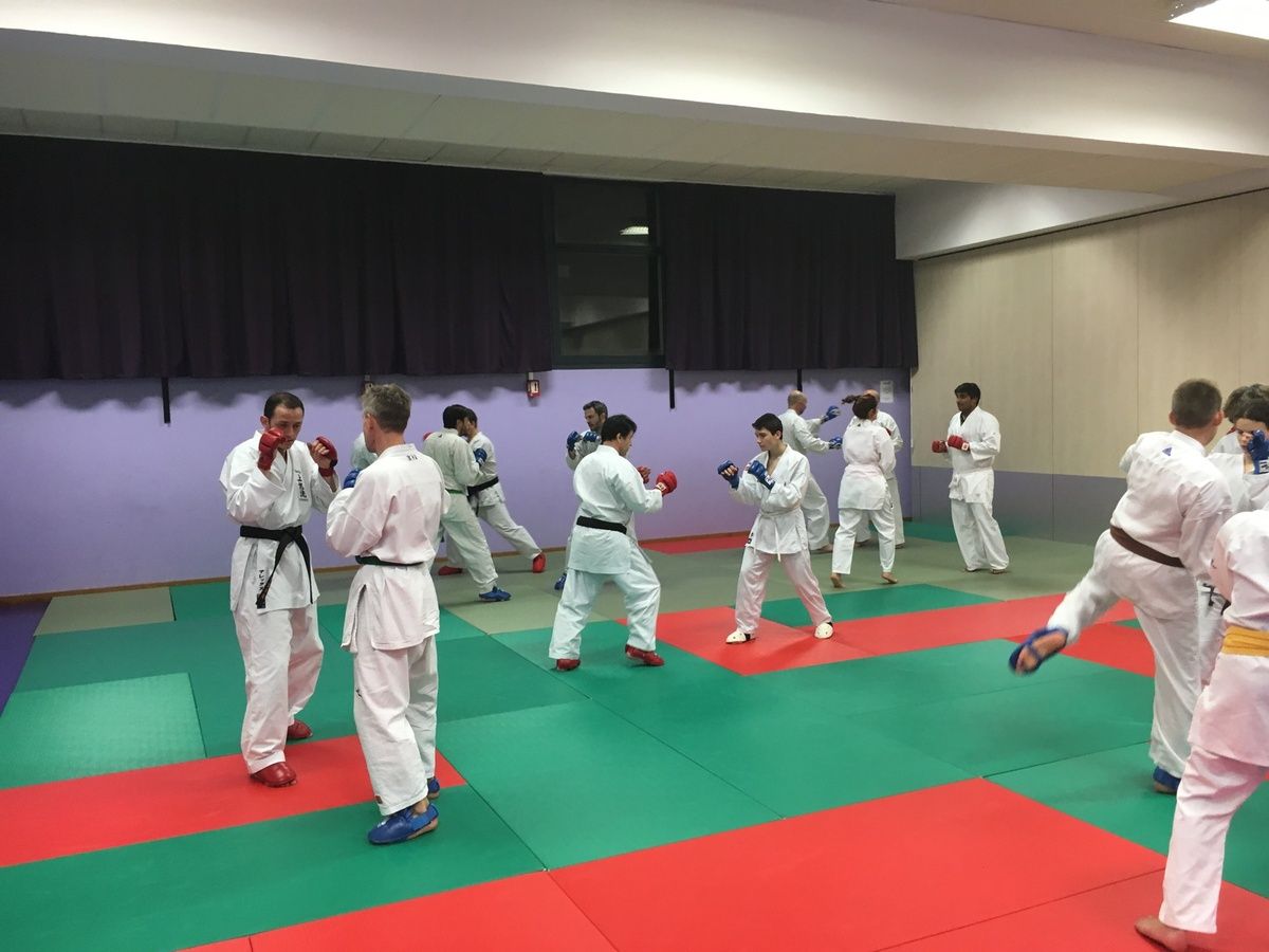 Uechi-Ryû Karate Do, Budo et karaté d'Okinawa, Maisons Laffitte - le ...