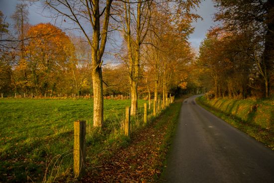 Lumières d'automne dans la campagne bréhalaise - ballades en photos