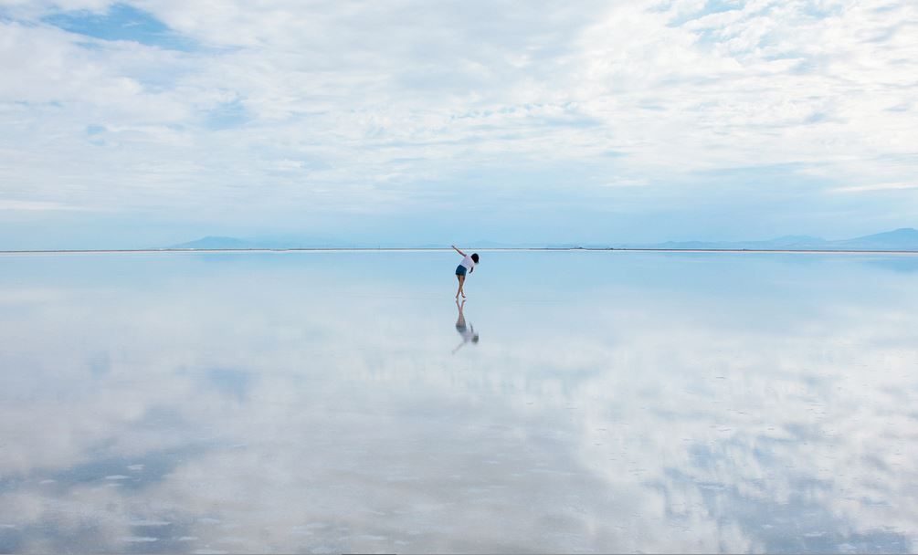 Our Wild Abandon - Croque Madame