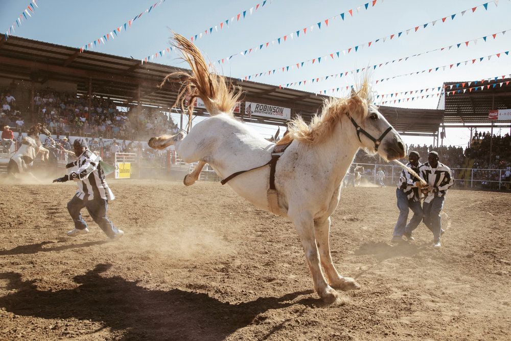 Our Wild Abandon - Croque Madame