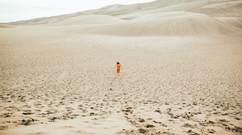 Our Wild Abandon - Croque Madame