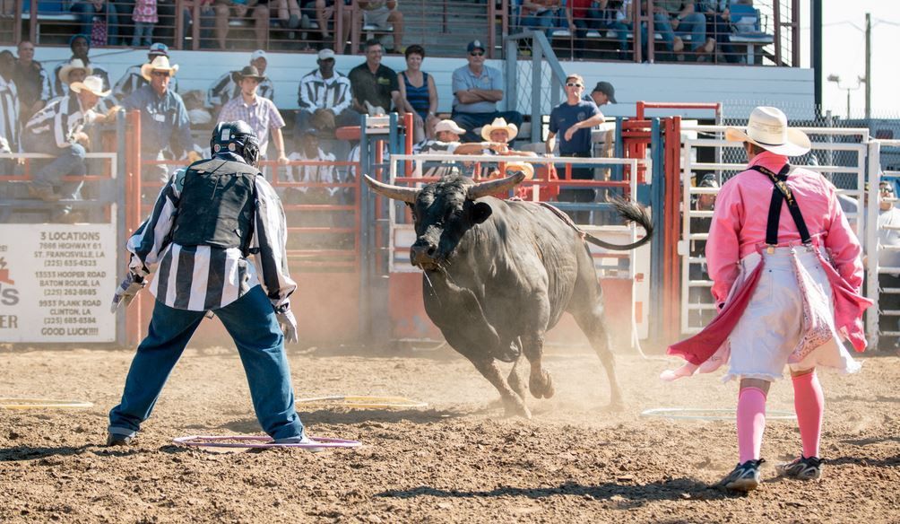 Our Wild Abandon - Croque Madame