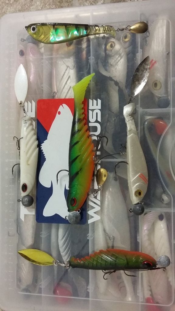 Montage simple d'un shad à palette - Atelier Pêche Nature Arc sur Tille