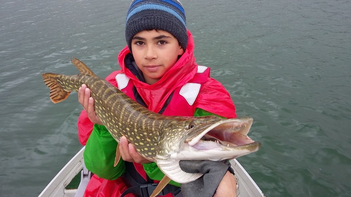 Montage simple d'un shad à palette - Atelier Pêche Nature Arc sur Tille