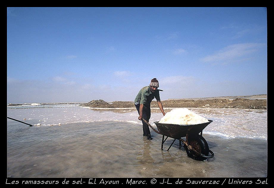 Les ramasseurs de sel dans le sud Maroc - La saga photo du sel par Jean ...