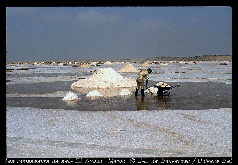 Les ramasseurs de sel dans le sud Maroc - La saga photo du sel par Jean ...