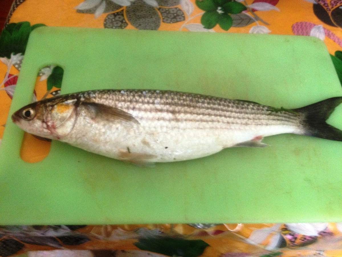 Poisson "Loup de mer" au four - La fourchette d'or