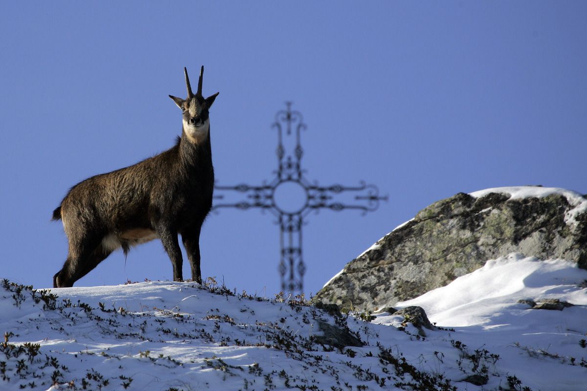 Reconstruction du refuge de Valerette - Refuge de Valerette