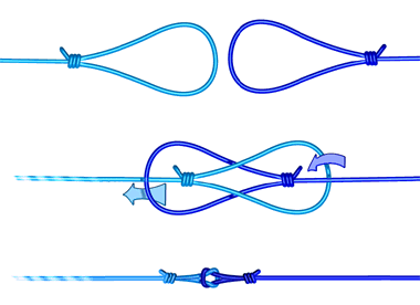 LES NŒUDS DE PÊCHE - LA TRUITE PELUSSINOISE