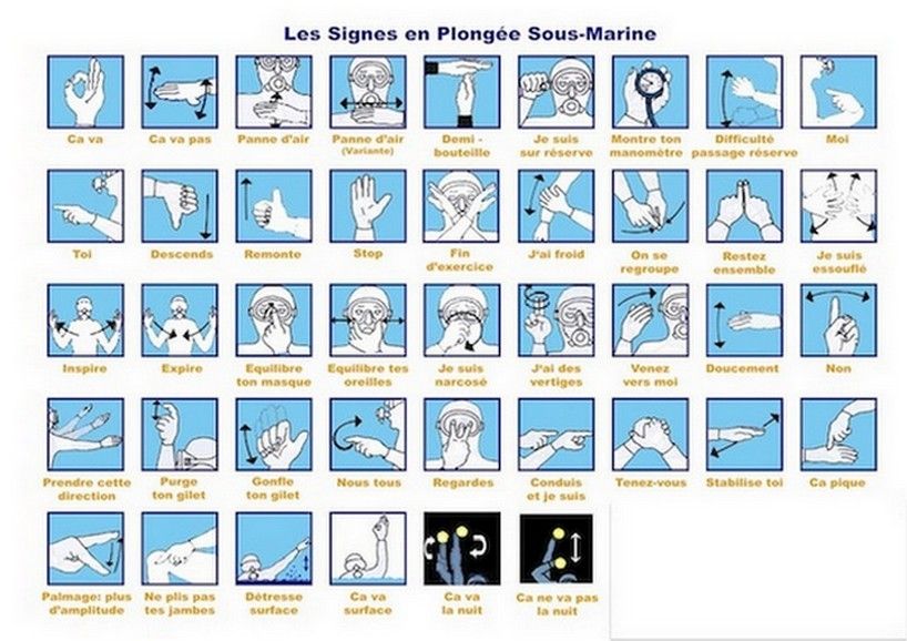 Les signes de plongée - Palmeurs Plongeurs Du Val d'Ancre