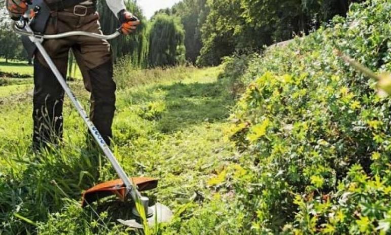 La surface à débroussailler - Nuzéjouls