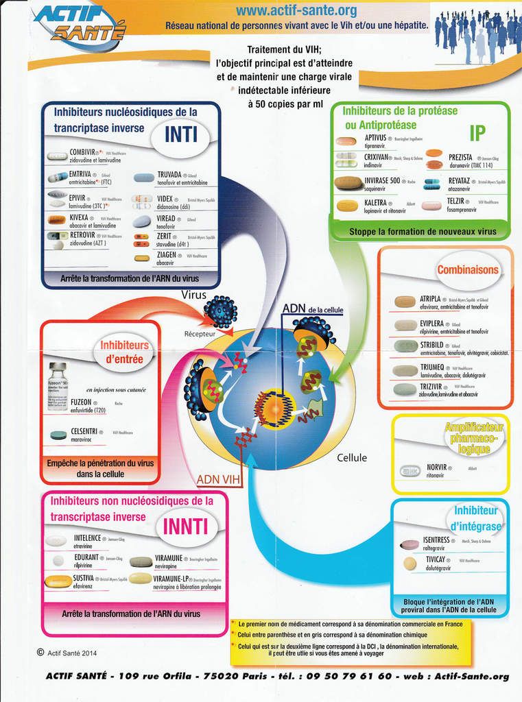 A - LES TRAITEMENTS CURATIFS