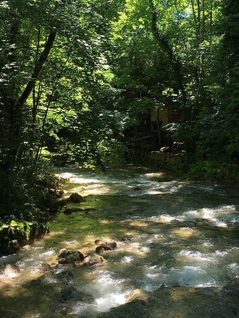 Le Gor du Seyon - Les carnets d'Antoinette