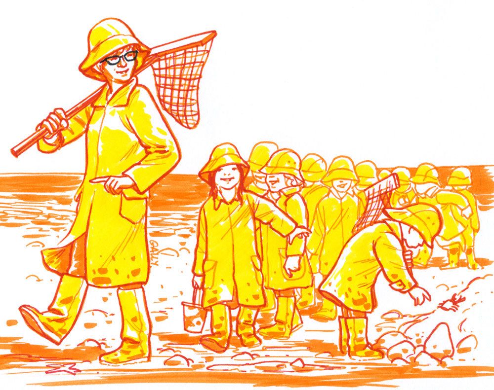 Classe de Mer ! - MATERNELLE COUR DES NOUES