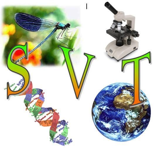 Accueil - Le blog de S.V.T Mounier