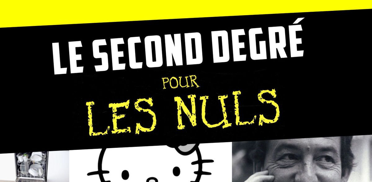 Le second degré pour les nuls - L'impossible dictionnaire