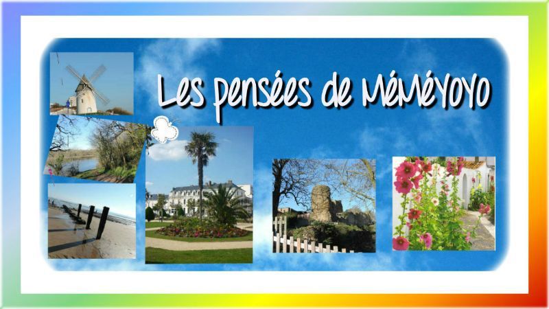 Lundi soleil 2026 chez Bernie, - Les pensées de Mémé-Yoyo