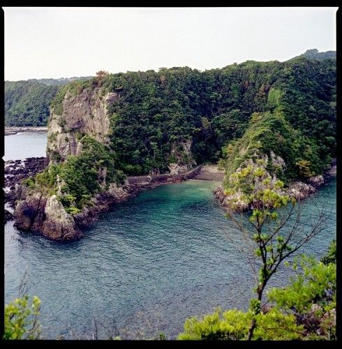 En direct de la Baie de la honte à Taiji au Japon! - Echo-Nature