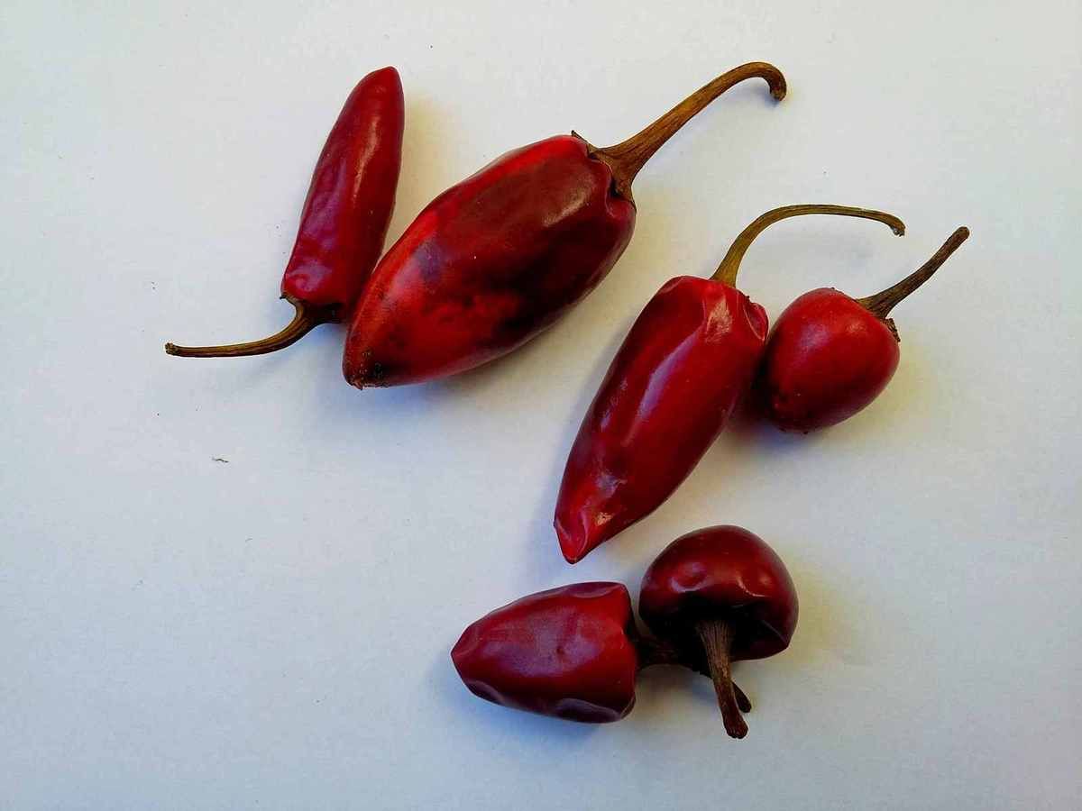 Les piments : une passion pour le voyage ! et le piquant - Le blog ...