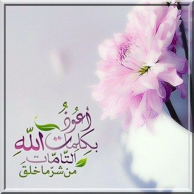 La paralysie du sommeil : Al-jâthoum - الجاثوم (vidéo) - Awnad