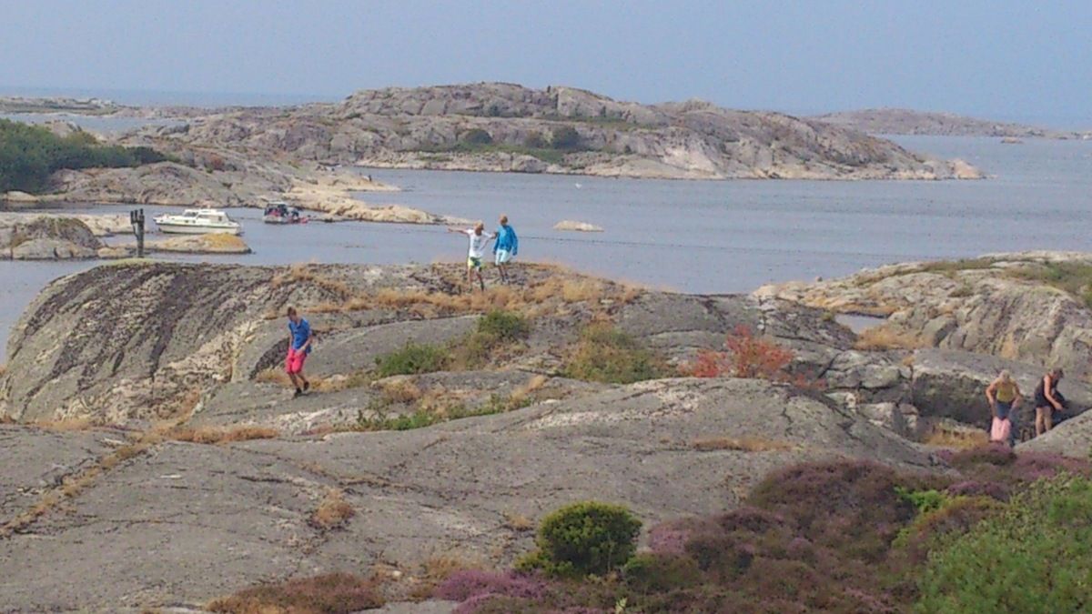 Les "générations futures" ...en fait, c'est vous, c'est moi ! - ECOLO ...