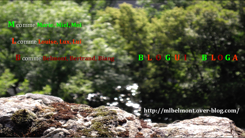 MLB BLOGUI-BLOGA RGB - Partager ce qui fait l'air du temps, mettre en ...