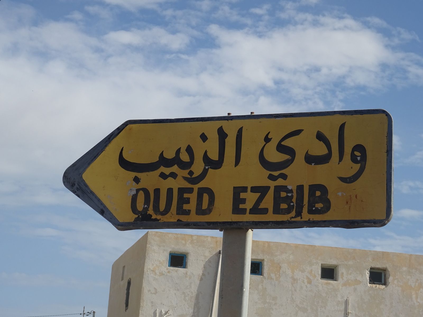 Les trésors de Oued Zbib - Jasmin et Bougainvillée