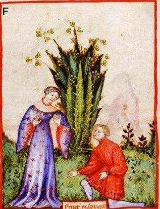 Le Lai de Lanval - de Marie de France - Il était une fois ... le Féminin