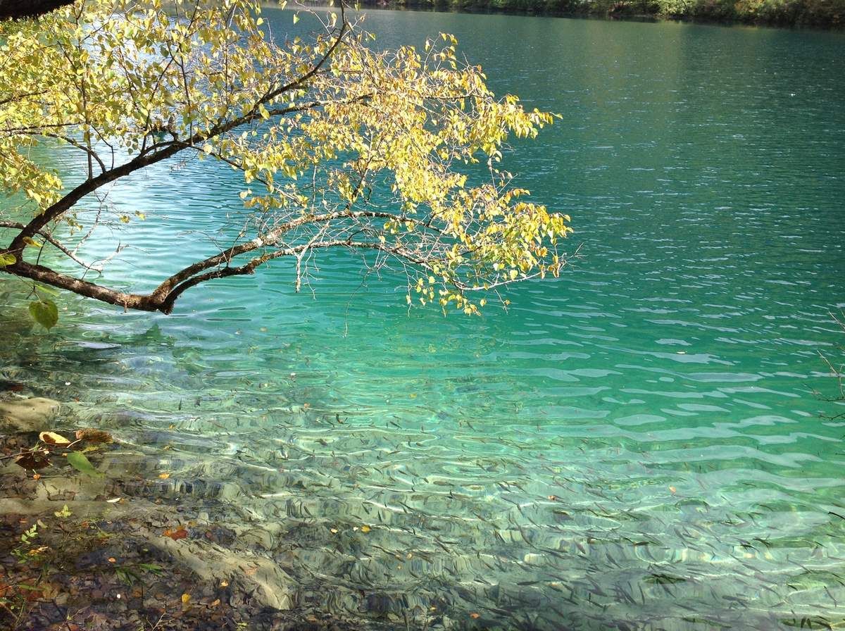 Various celebrations in Pure Brightness Festival - our CHinese fans