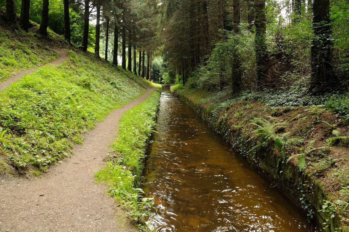 La Rigole de la Montagne Noire - Pêche au Toc