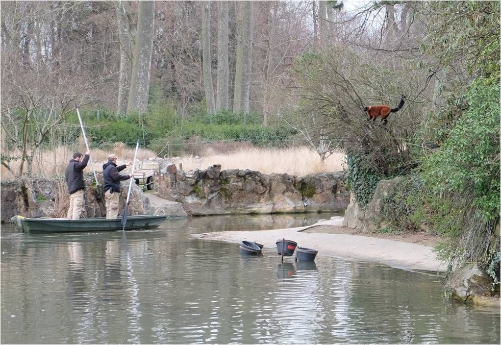 Visite des coulisses du zoo de Lyon, au Parc de la Tête d'Or - Lucky ...